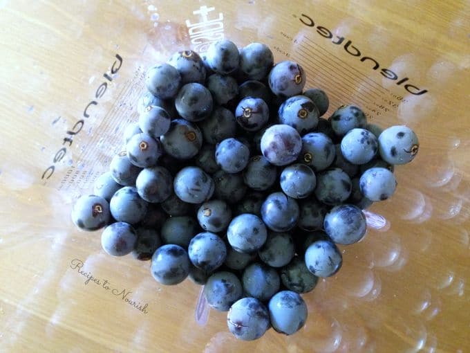 Healthy Concord Grape Gummies | Recipes to Nourish